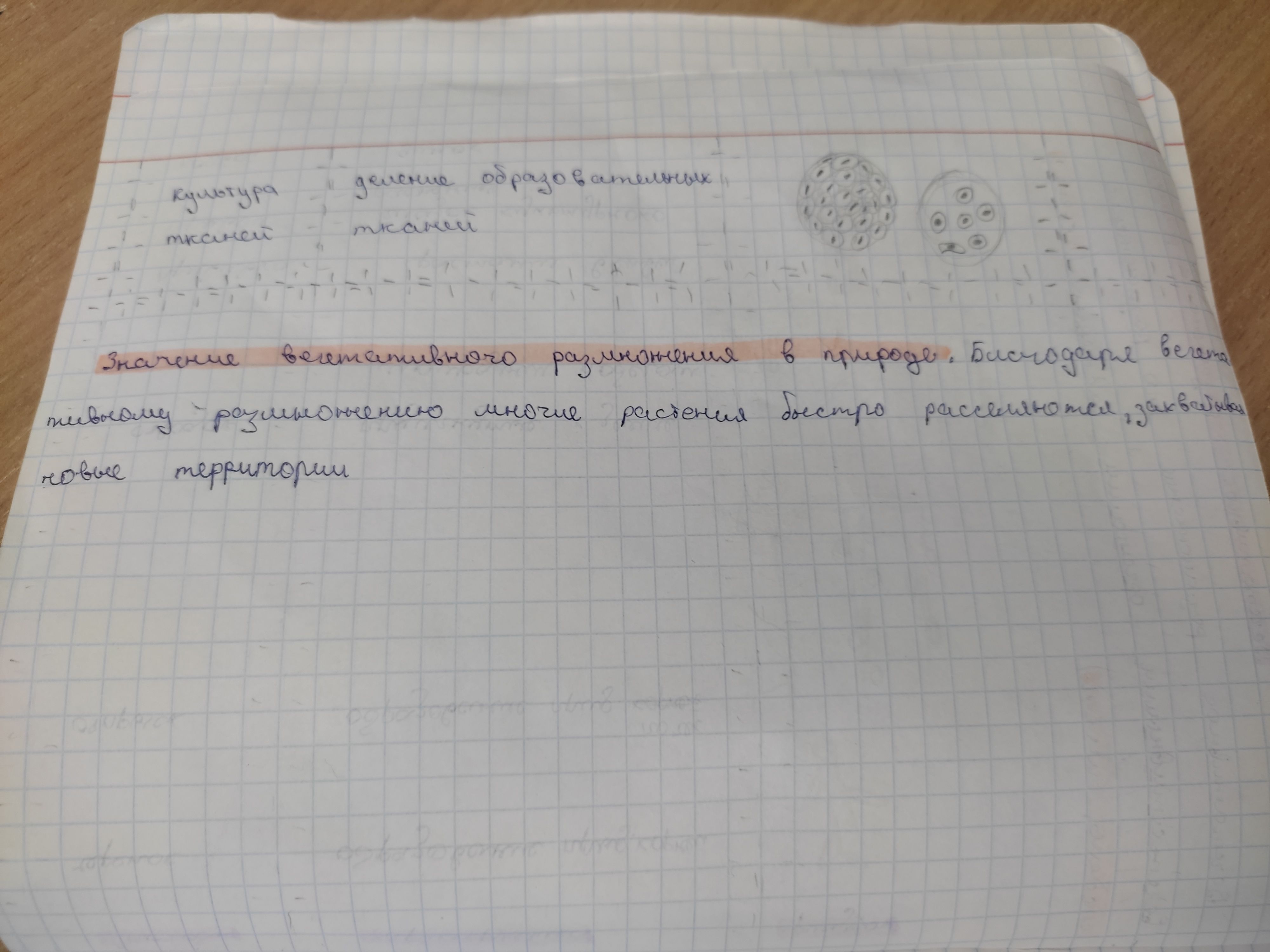 Based on the image and the provided OCR text, please transcribe the ...